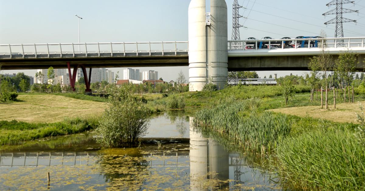 Protection des milieux humides | Ministère de la Transition écologique ...